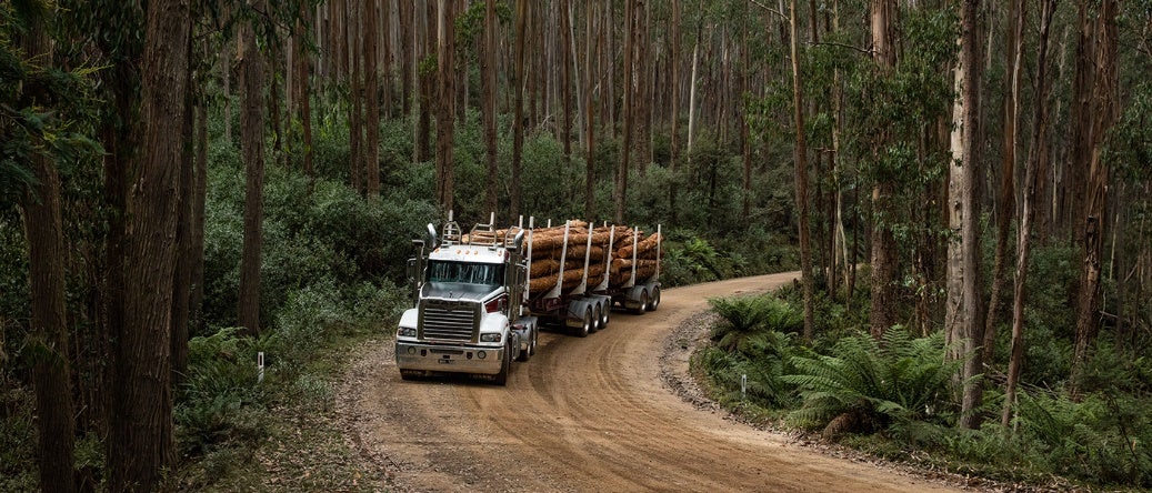 Boss Logging Super Liner Review.