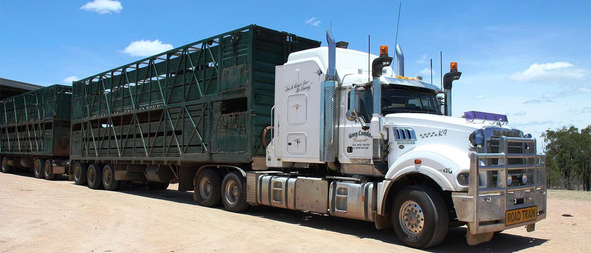 Greg Condon Transport